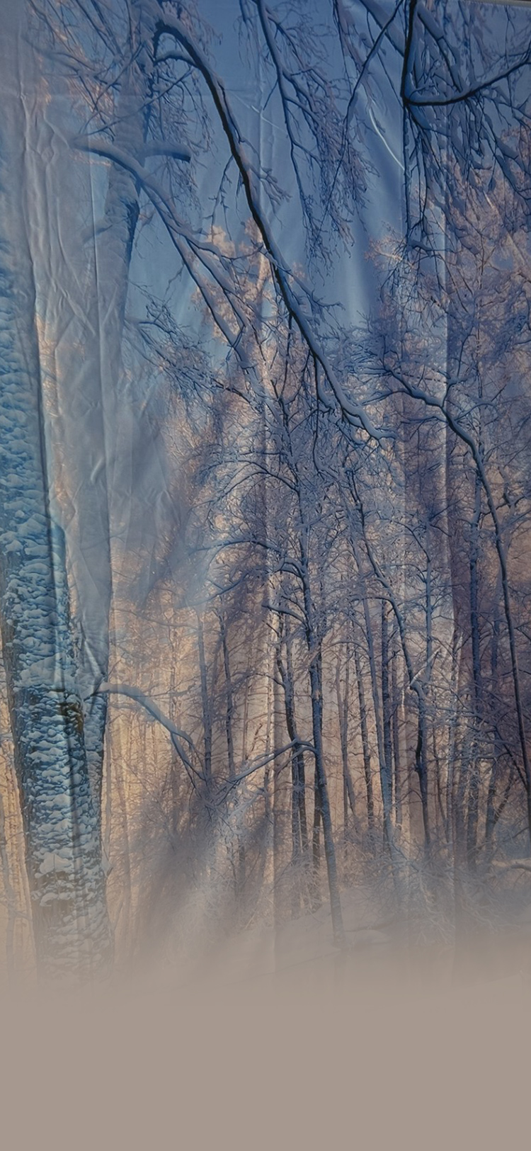 YOSAPARK Rich｜身体の内側から美しさと健康を